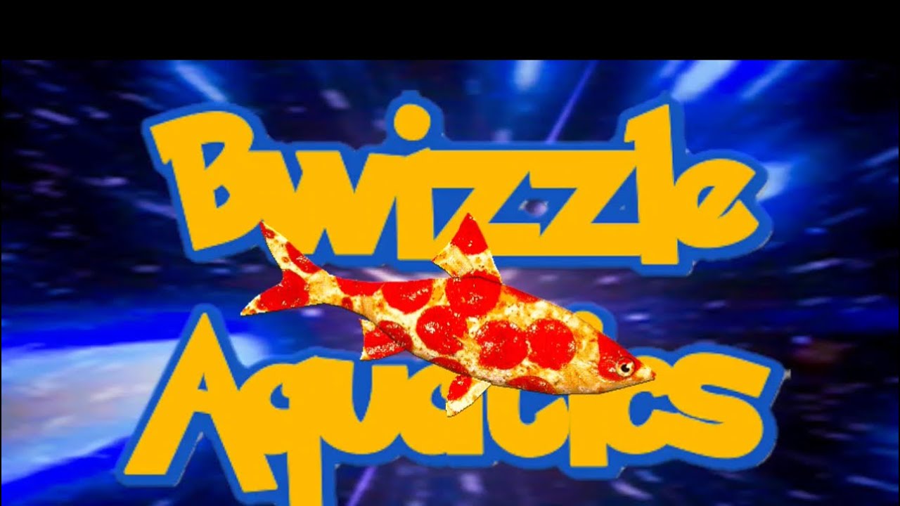 10 Gallon Shrimp set up so far | RIP HERMAN the Ram | Happy Birthday ...