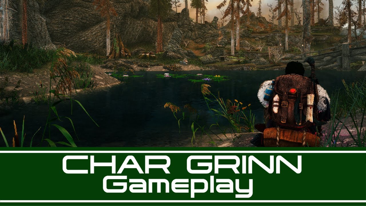 Char Grinn MCO | Skyrim Amazing Combat Mod list part 1. - YouTube