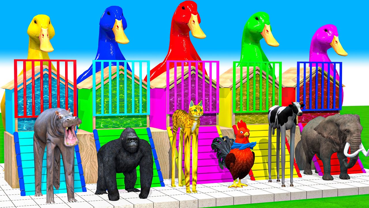5 Giant Ducks Gorilla Lion Dinosaur Guess The Right Door ESCAPE ROOM ...