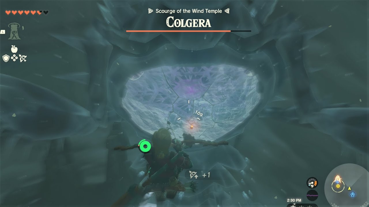The Legend of Zelda: Tears of the Kingdom Colgera Boss Fight - YouTube