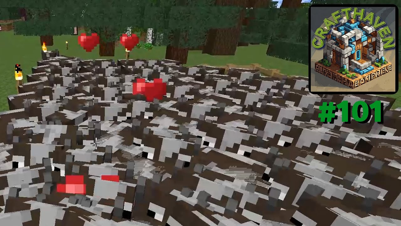 CraftHaven - Diealekte - Minecraft #101 - YouTube