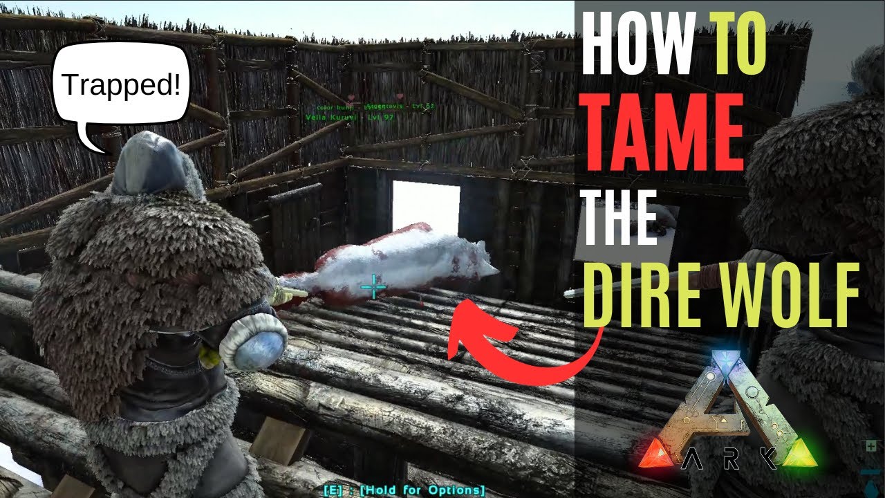 சிரந்தா வழி 💯 BAITING to Tame Wolves in Ark Survival Evolved Tamil ...