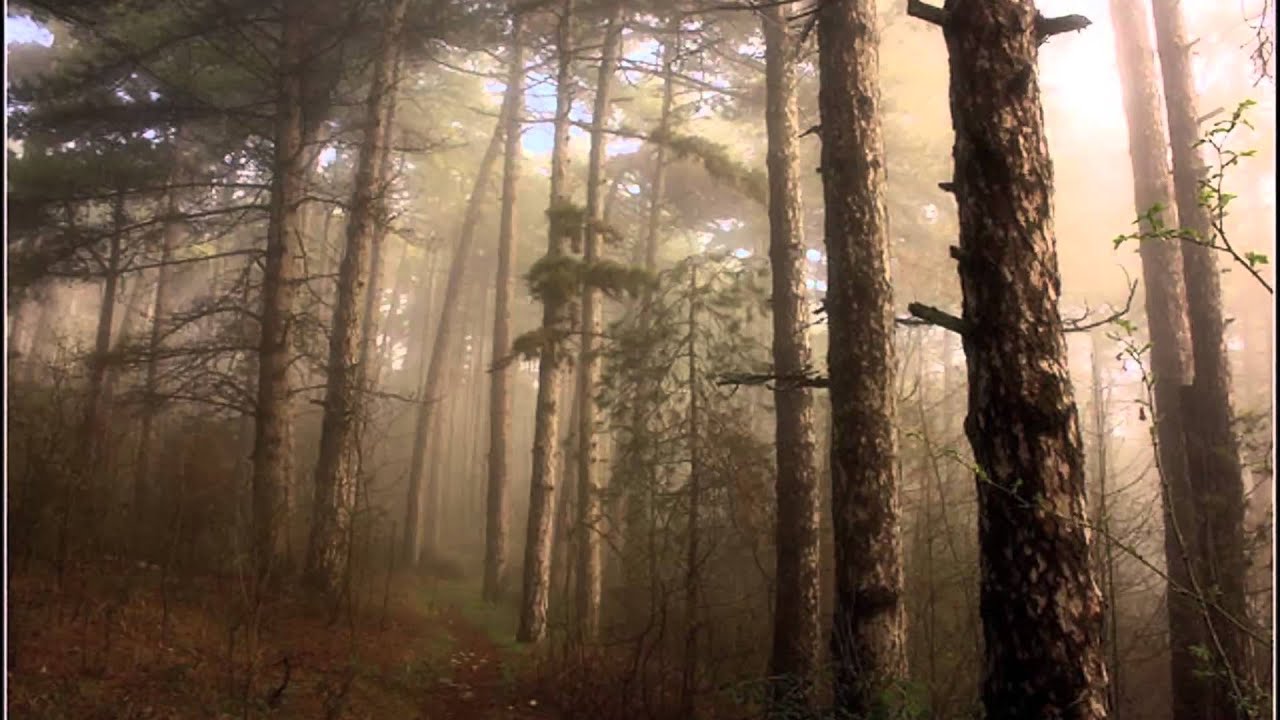 The King James Bible - Genesis - Chapter 29 - Jacob works for Laban to ...