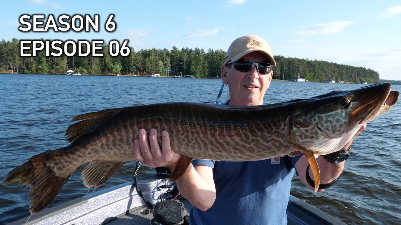 When TIGER Muskies Eat! BIG Hybrid Tiger Musky Tests our Limits! S6.E06 ...