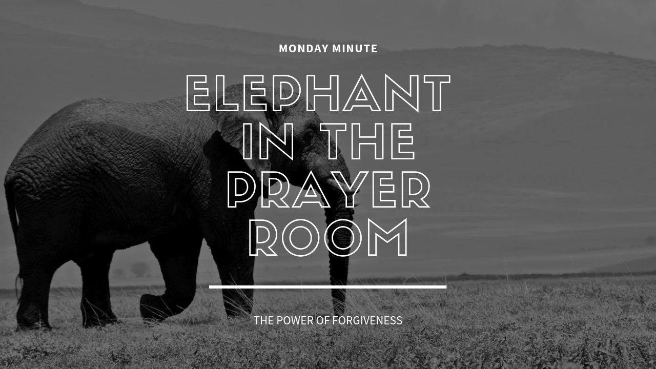 Elephant in the Prayer Room | Monday Minute - YouTube