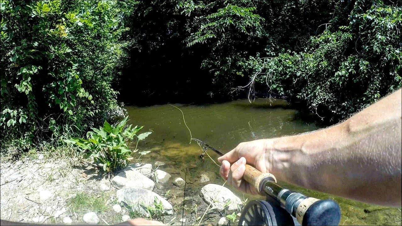 River Pike Fishing GRIND! - YouTube