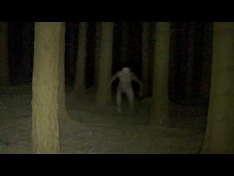 Beyond The Forest | Short Horror Film