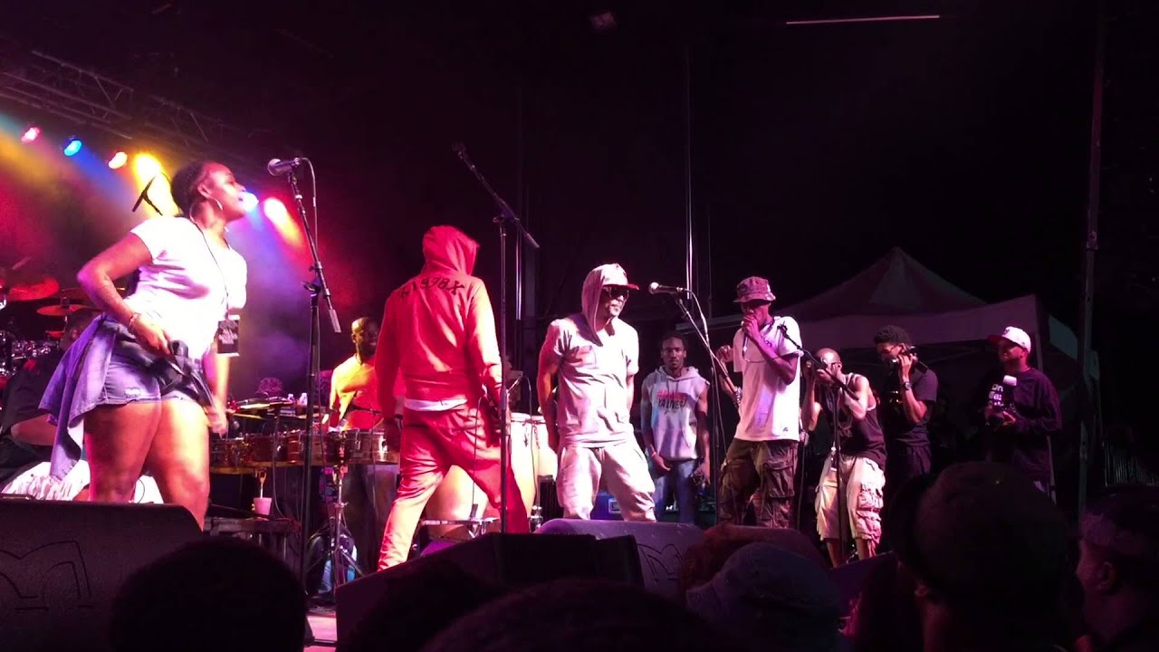Backyard Band @ the Jungaloo Festival 8.8.15 (Brandywine Lions Park ...