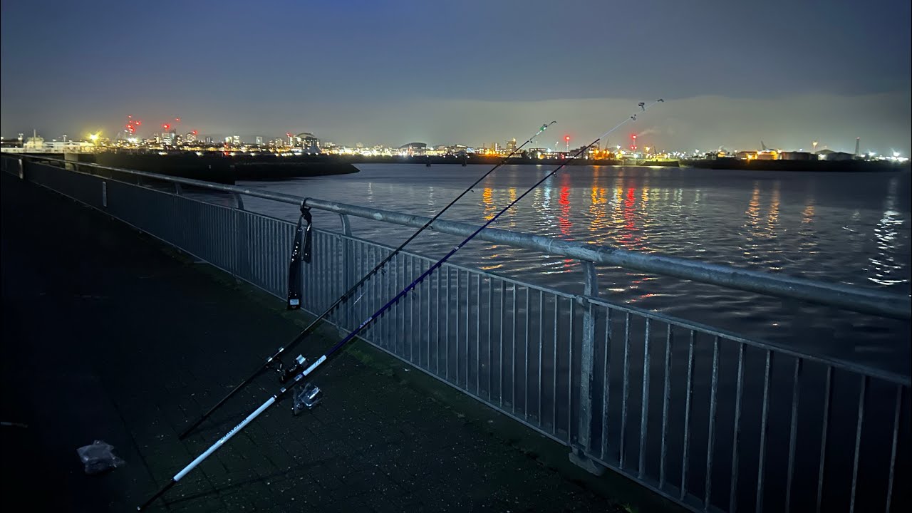 LATE NIGHT FISHING FOR BASS! || Rigs, tips and more - YouTube