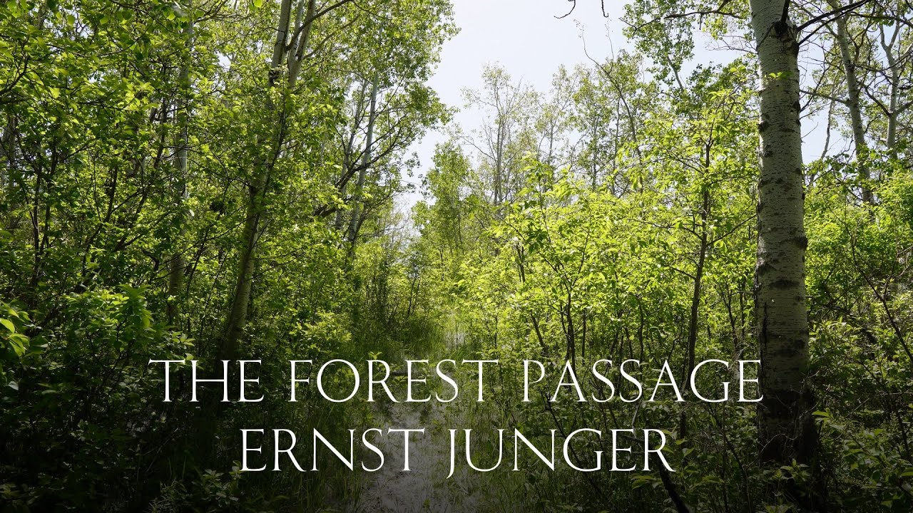 The Forest Passage - Ernst Jünger (Audiobook) - YouTube