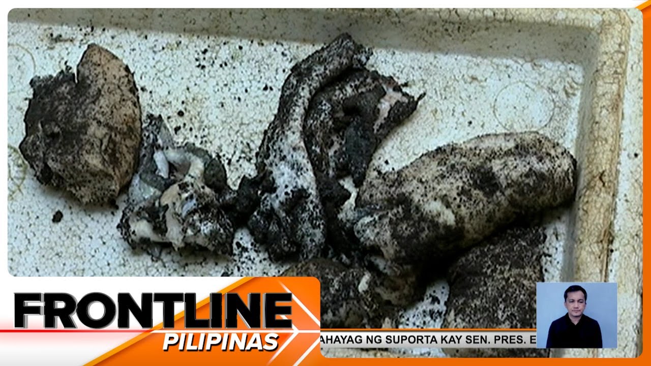 Pamilya sa Davao del Sur, nalason matapos kumain ng isdang butete o ...