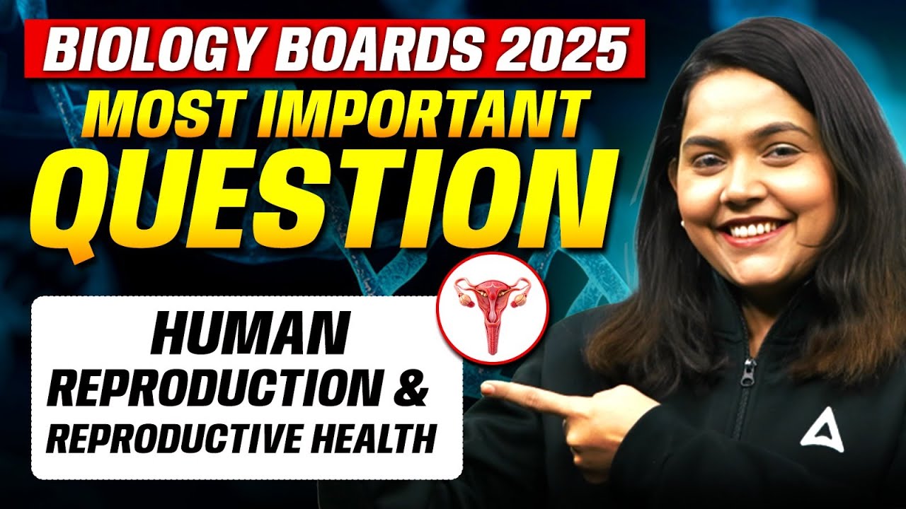 Class 12th Biology | Most Important Questions Human Reproduction ...
