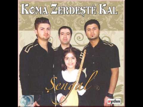 Koma Zerdeste Kal - Sengal 2009