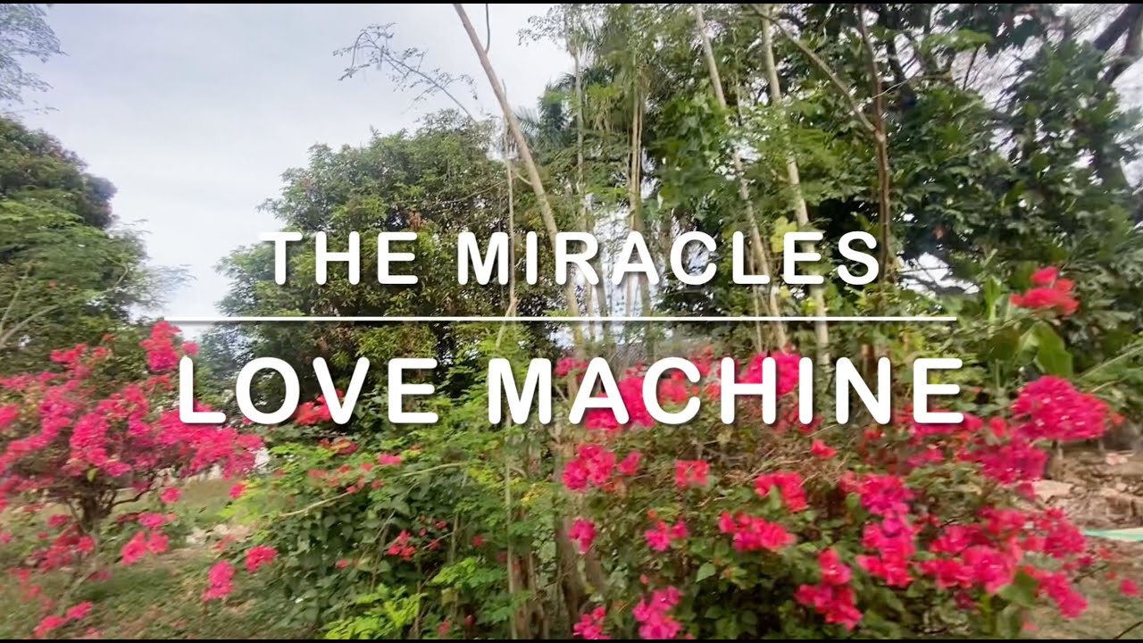 0906 Love Machine - The Miracles (Karaoke) - YouTube