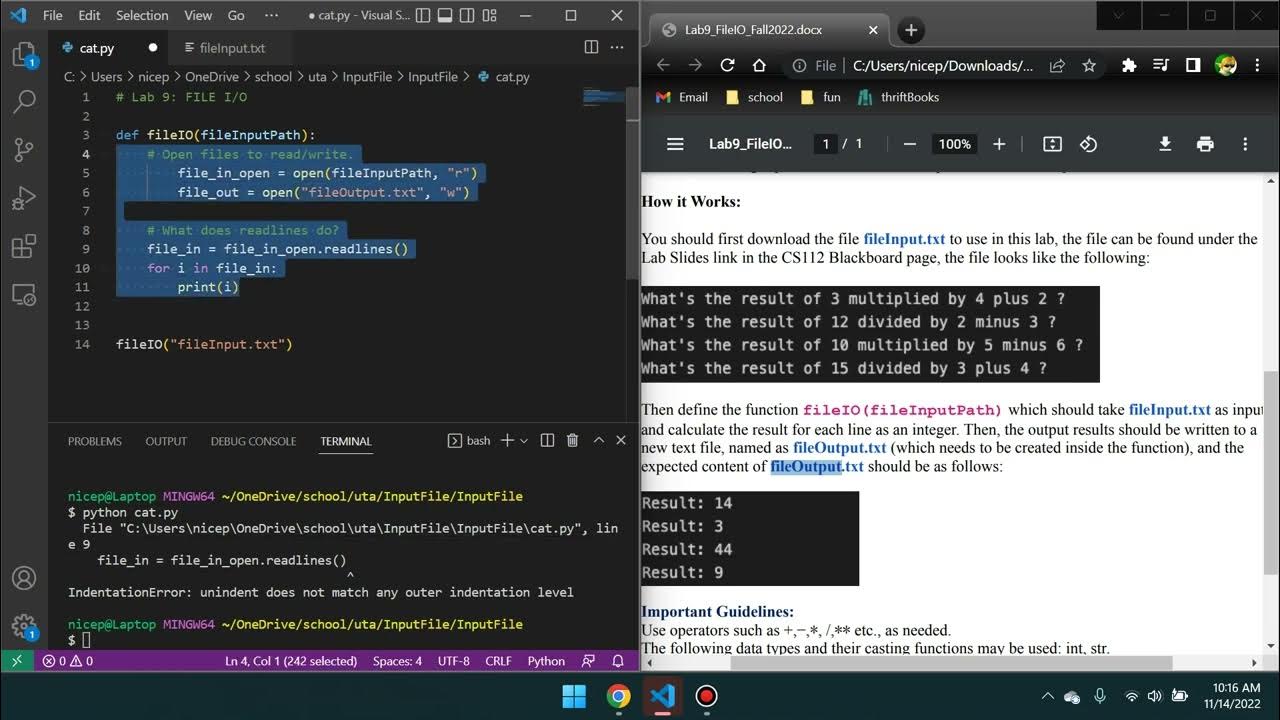 CS112 Lab 9 (File Input/Output) - YouTube