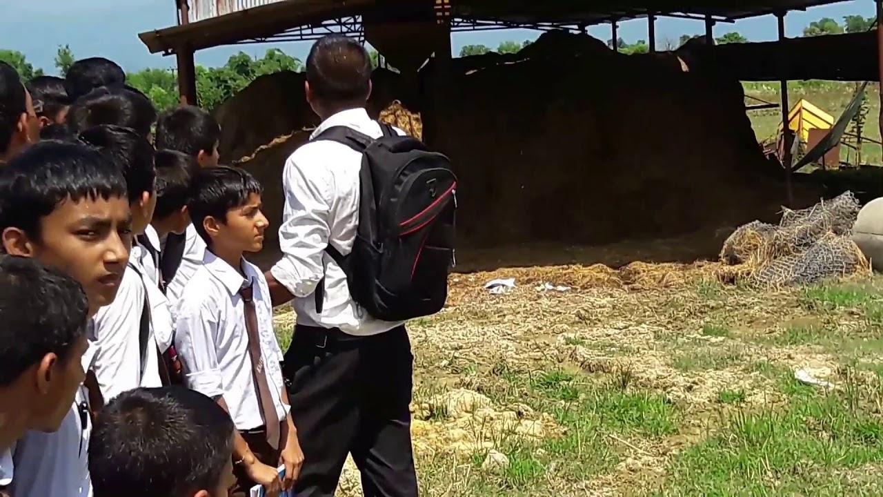 Kalika Manavgyan Secondary School Butwal Cow Farming ISA Activity - YouTube