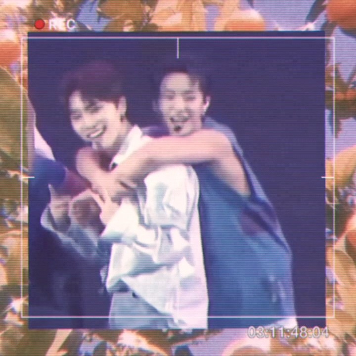 SoonChan🐯🍏🧡💚 #seventeen #세븐틴 #dino #hoshi #디노 #호시 #caratseventeen #svt ...