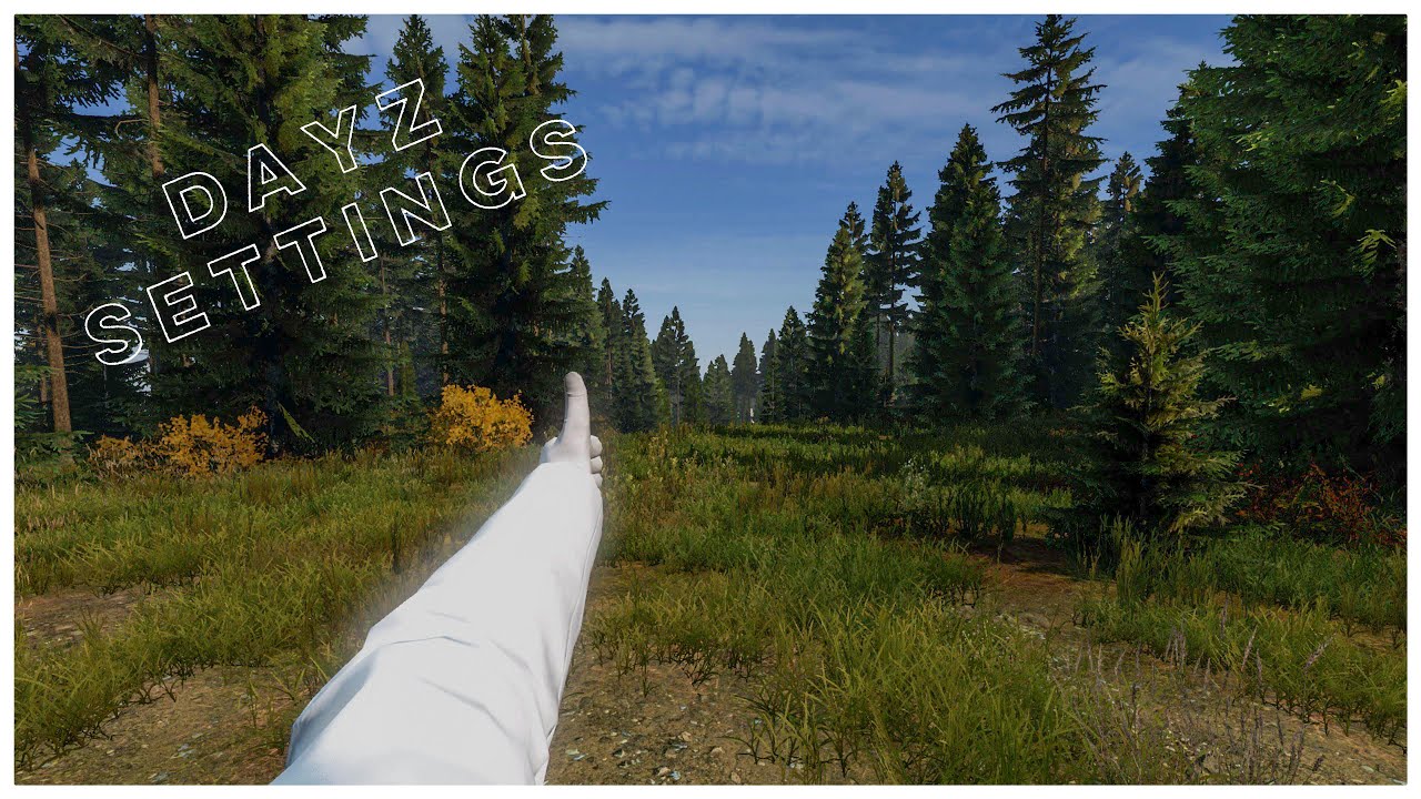 One of THE BEST DayZ Players Settings|DayZ - YouTube