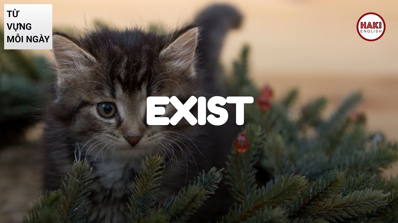 EXIST | Phát âm - Giải nghĩa - Ví dụ | Từ vựng tiếng Anh - YouTube