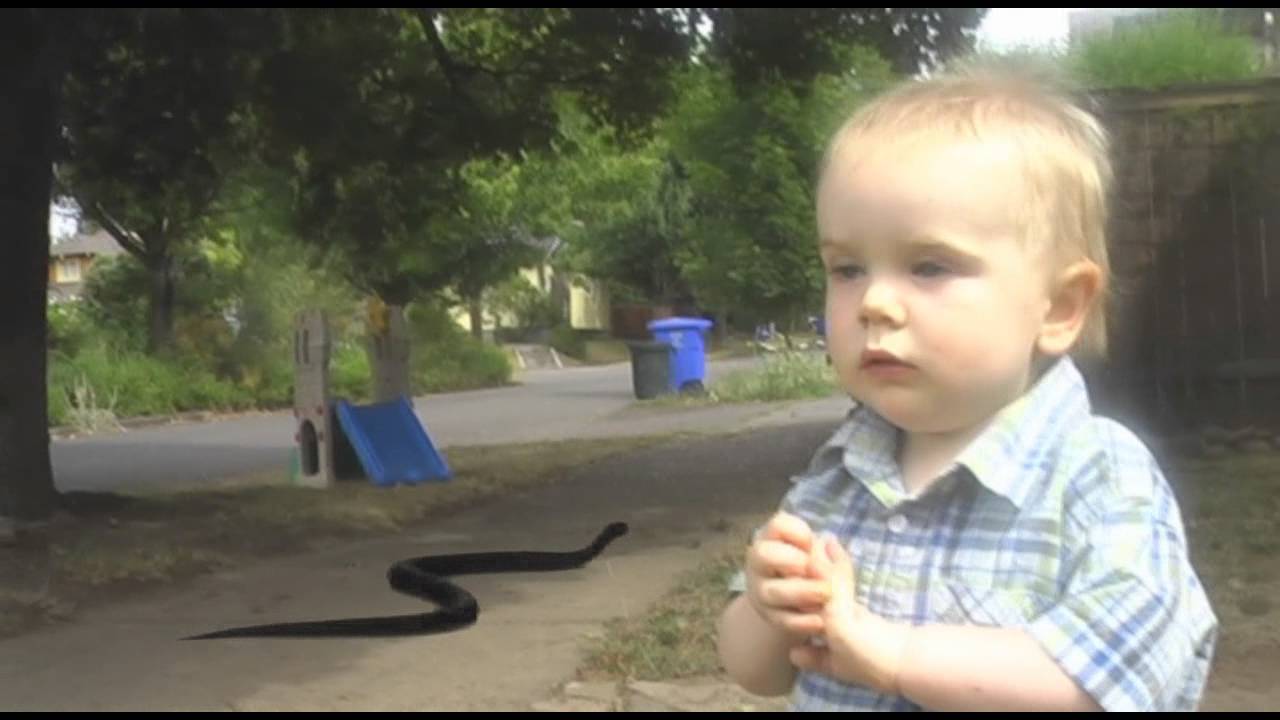 The Snake Song - YouTube