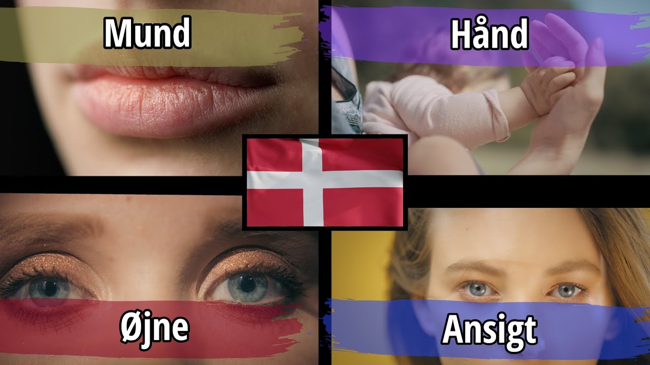 Learn Danish Vocabulary for Beginners | Body Parts | Comprehensible ...