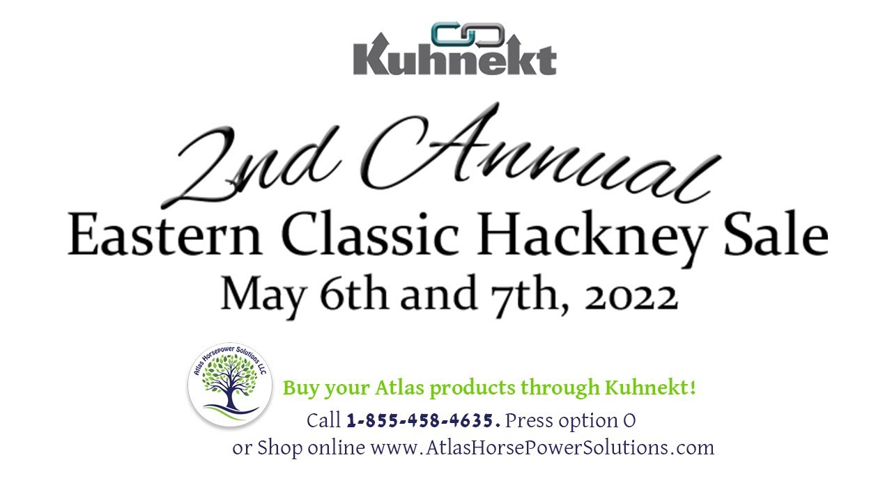 2nd Annual Eastern Classic Hackney Sale - YouTube