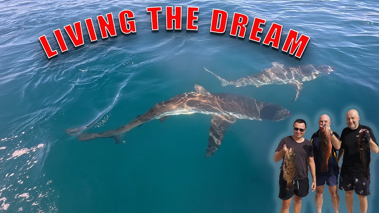 SPEARFISHING: Living the Dream - YouTube