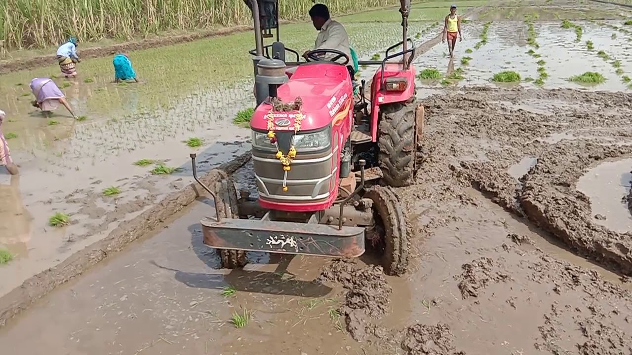 Farmar - YouTube