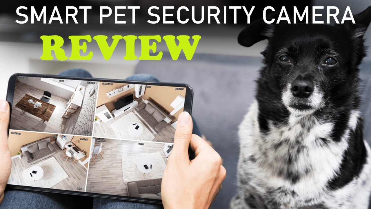 Pet Monitoring Camera । Monitor Your Pet Remotely with Treat Dispenser । Pets Networks - YouTube