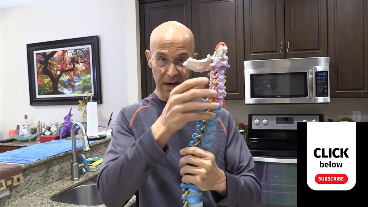 DECOMPRESS YOUR LUNGS BREATHE EASY Dr Alan Mandell, DC - YouTube