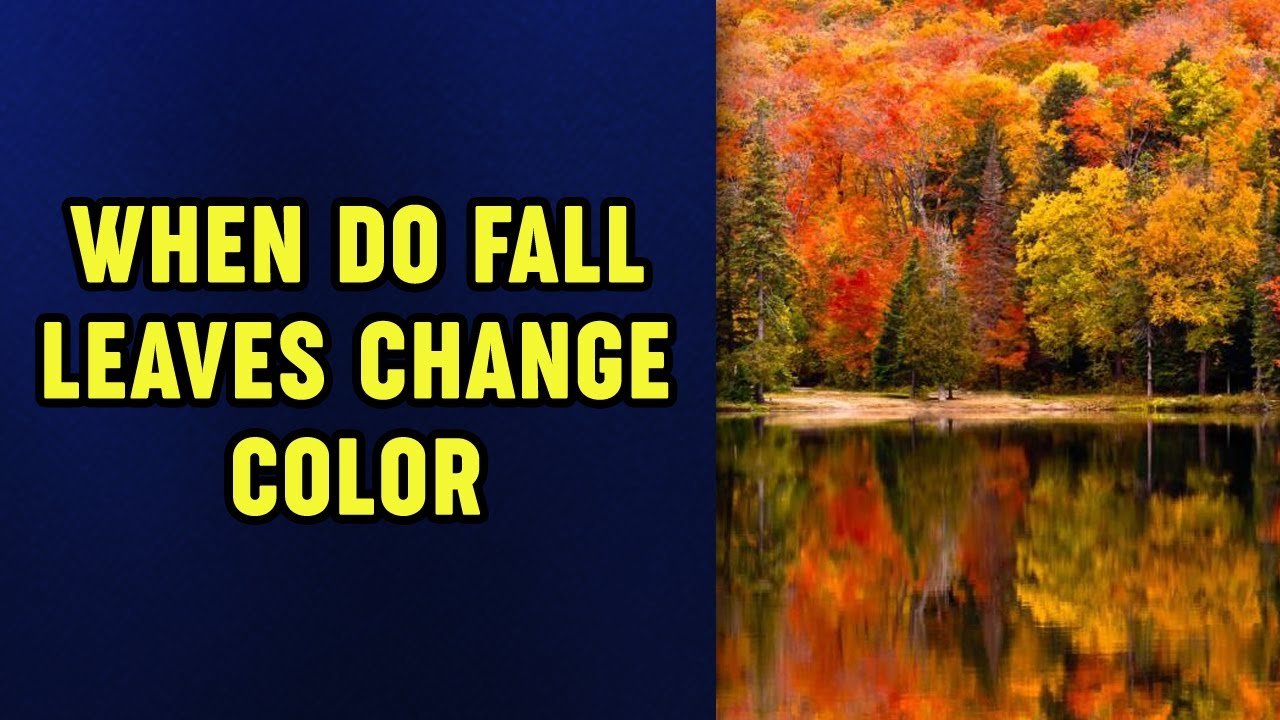 2023 Fall Foliage Color Map: When is Peak Foliage? - YouTube