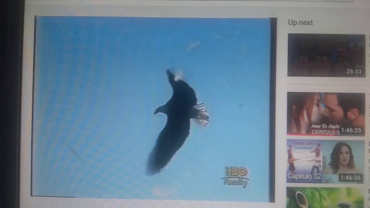 Jamming animals HBO family - YouTube