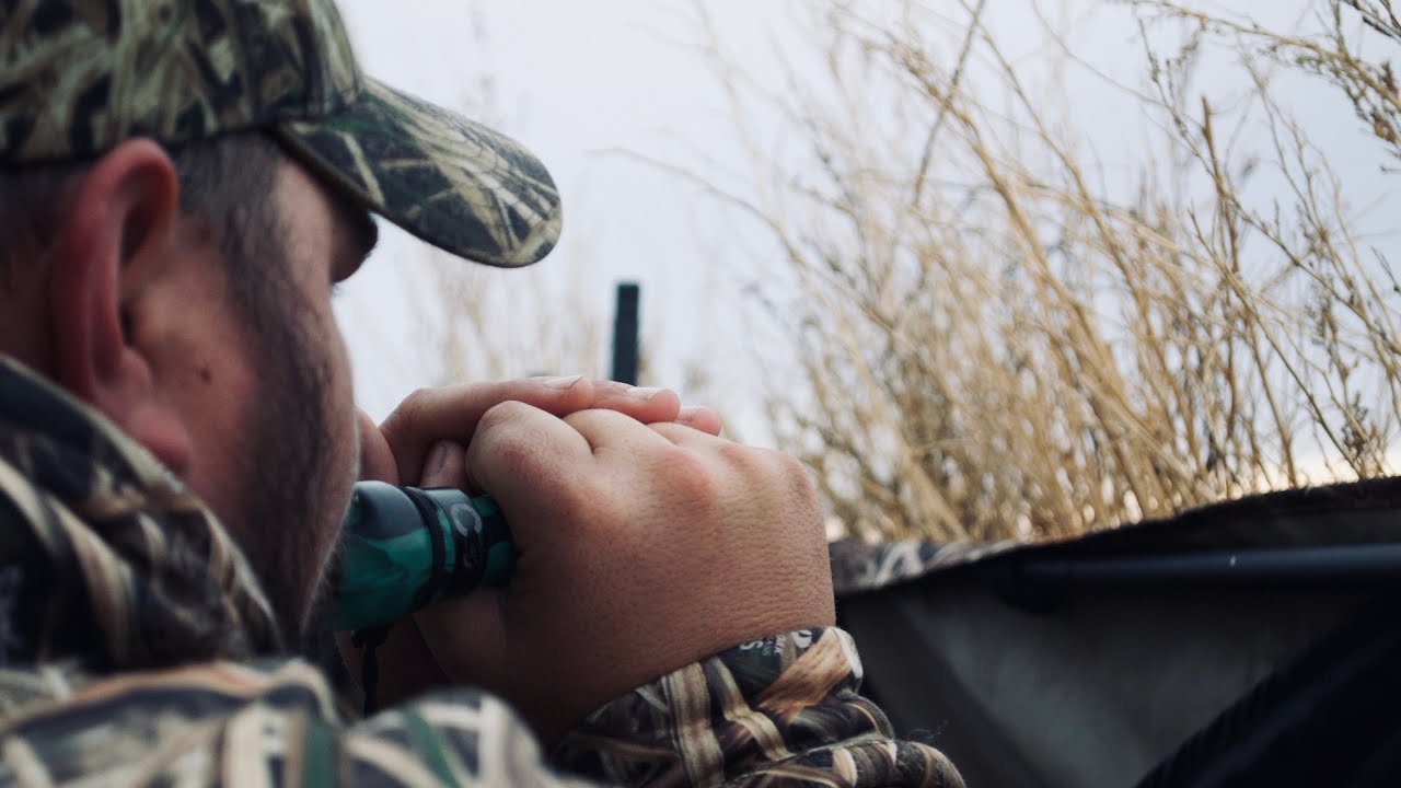 Goose calling tips The “Honk” - YouTube