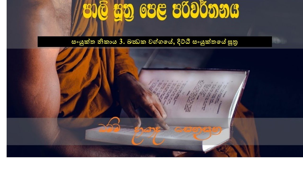 සංයුක්ත නිකාය දිට්ඨි සංයුක්තය සෝතාපත්ති වග්ගය 2024 08 14 Youtube