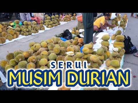 BERLIMPAH❗MUSIM DURIAN di SERUI - PAPUA | Durian Season