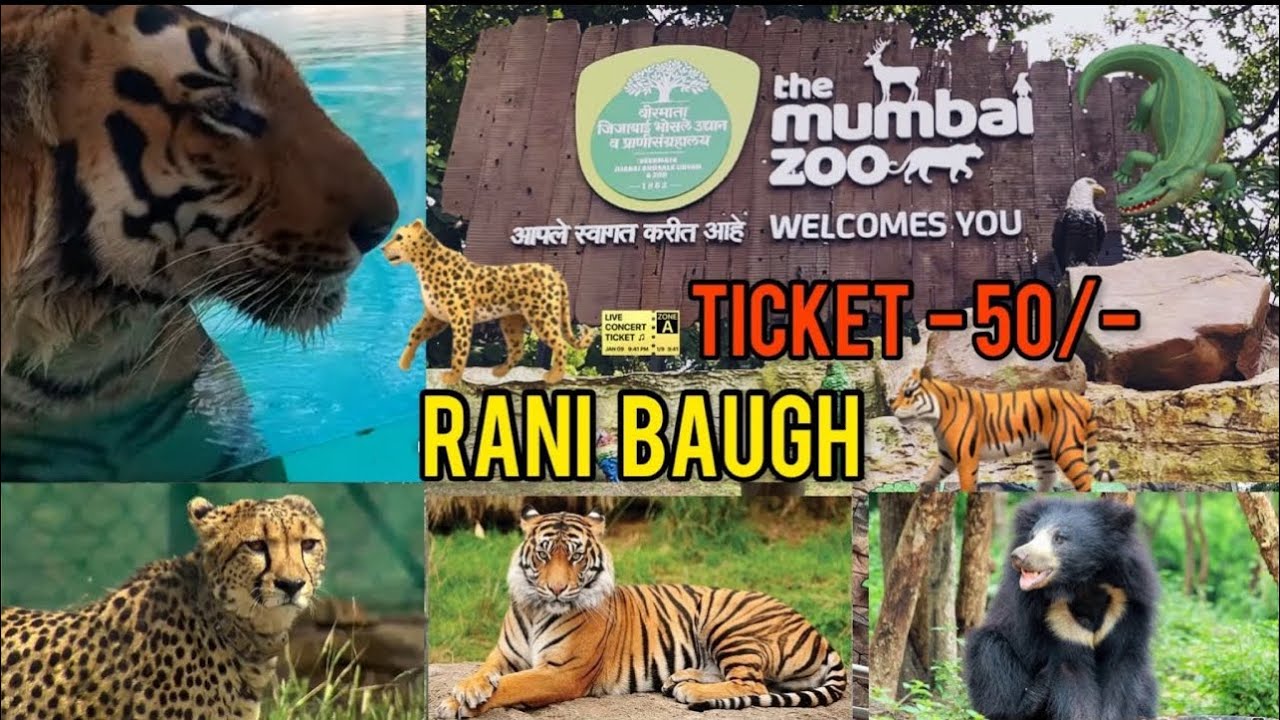 Rani Bagh Mumbai 2023 | Complete Tour Of Rani Bagh | Mumbai Byculla Zoo - YouTube