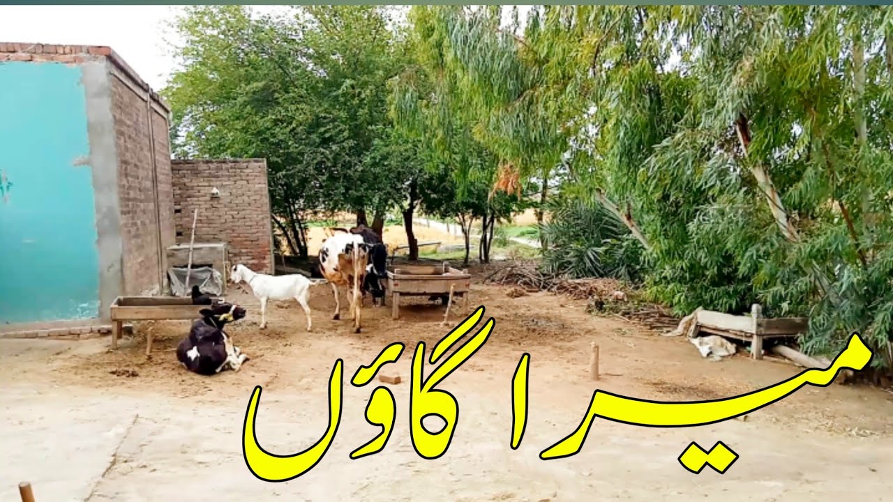 gaon ke Zindagi @Imran Layyah - YouTube