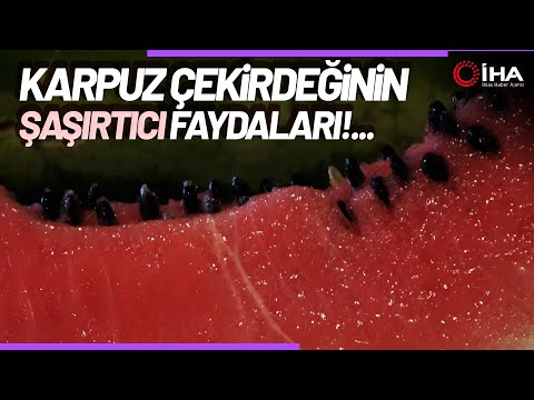 Karpuz Çekirdeğinin Faydaları Nelerdir? Profesör Arıca Açıkladı