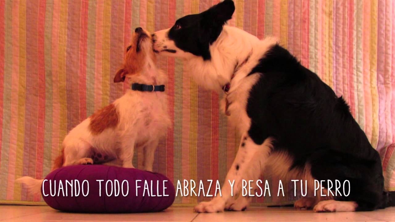 Besos de Perros - YouTube
