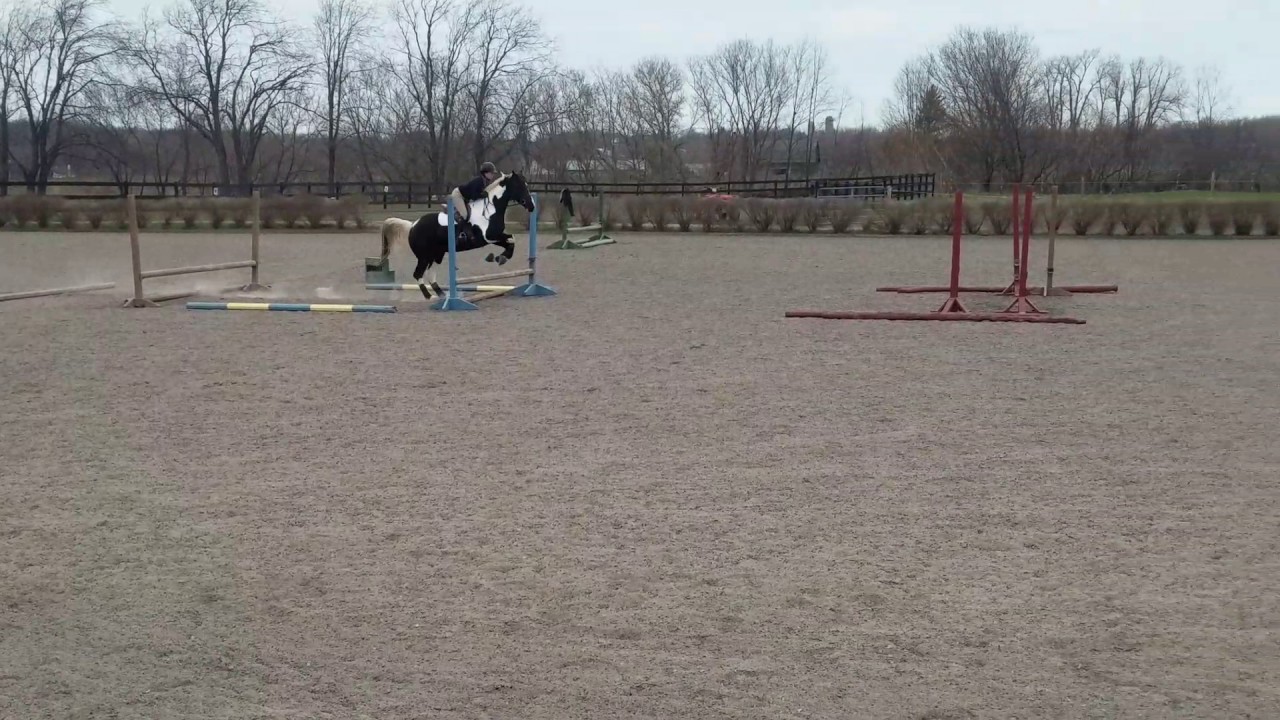 Bacchus at Mark Frohm clinic - YouTube