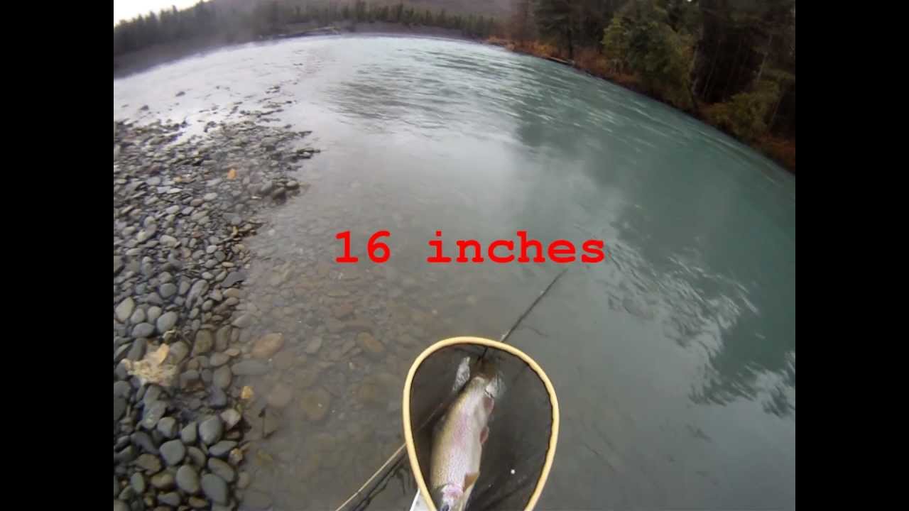 Upper Kenai 10/16 ...only one 16 incher landed - YouTube