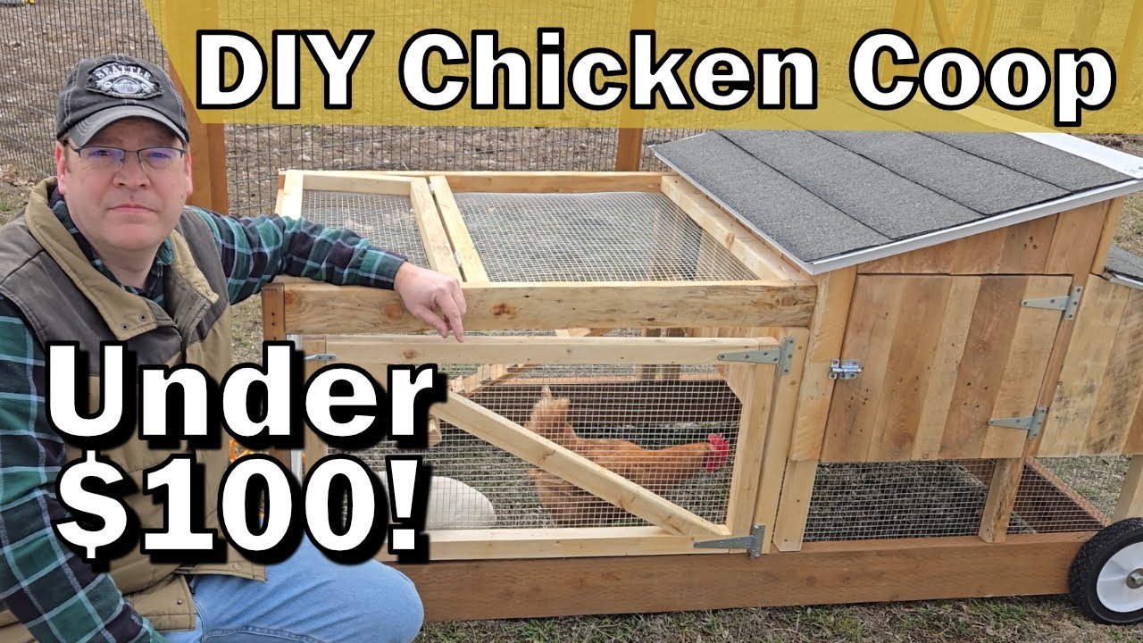 DIY Chicken Tractor for Under $100! - YouTube