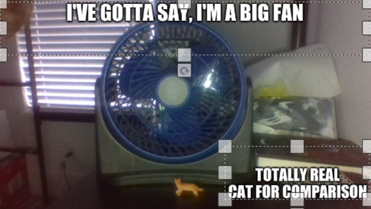 Chat picks what games I play - YouTube