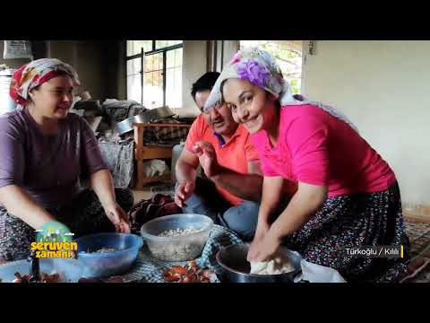 Serüven Zamanı Türkoğlu  Salatalık Hasadı