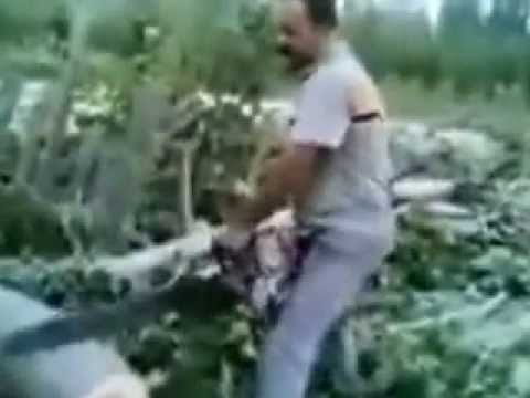 kesi motor aragaz şov