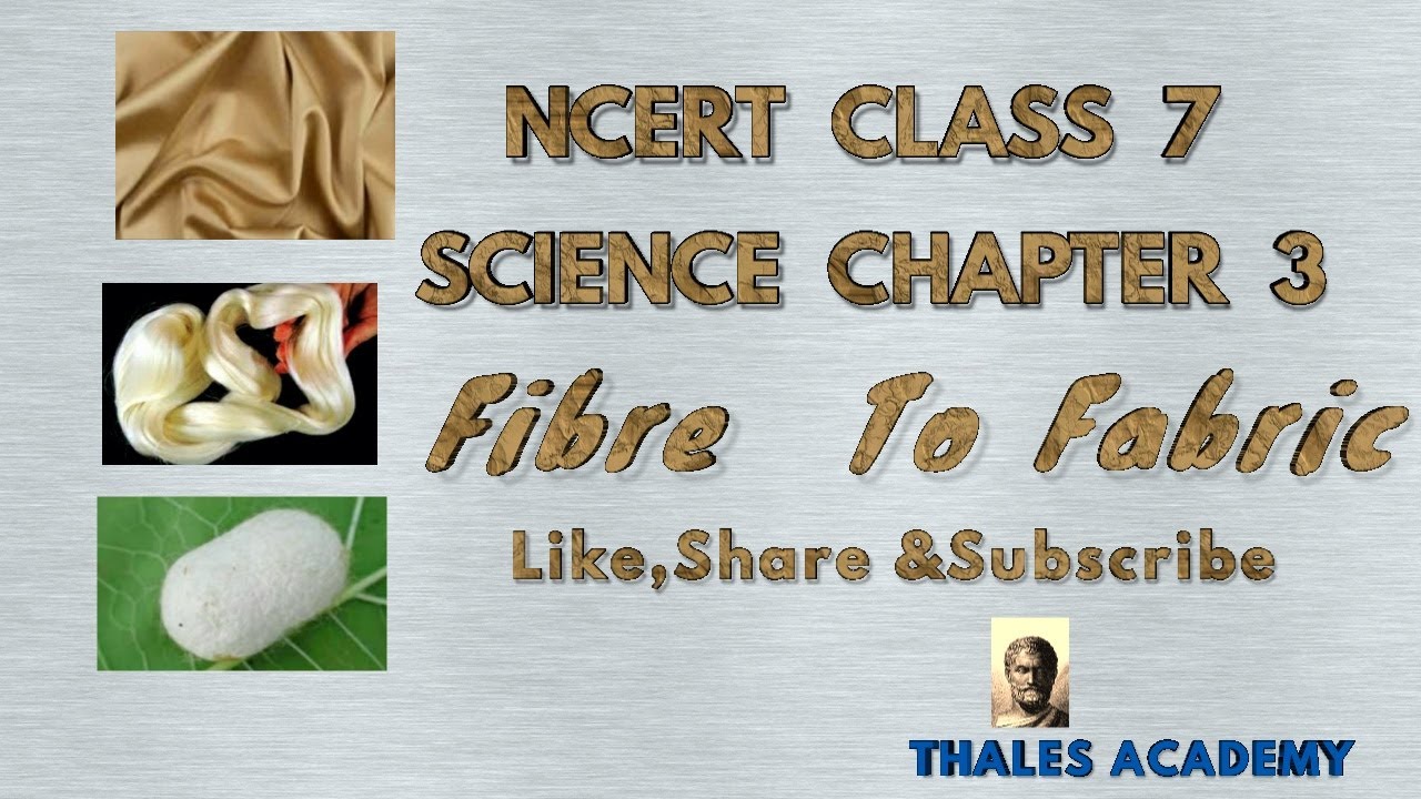 FIBRE TO FABRIC | CLASS 7 SCIENCE | NCERT| PART - 2 | PROCESSING OF ...