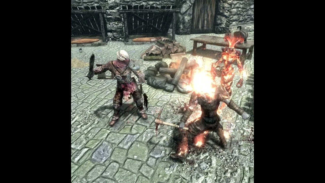 Ralis Sedarys VS Teldryn Sero Skyrim fight #Shorts - YouTube