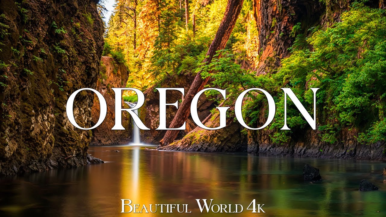Oregon 4K - Majestic Fall Colors, Scenic Forest Trails, and Cascading ...