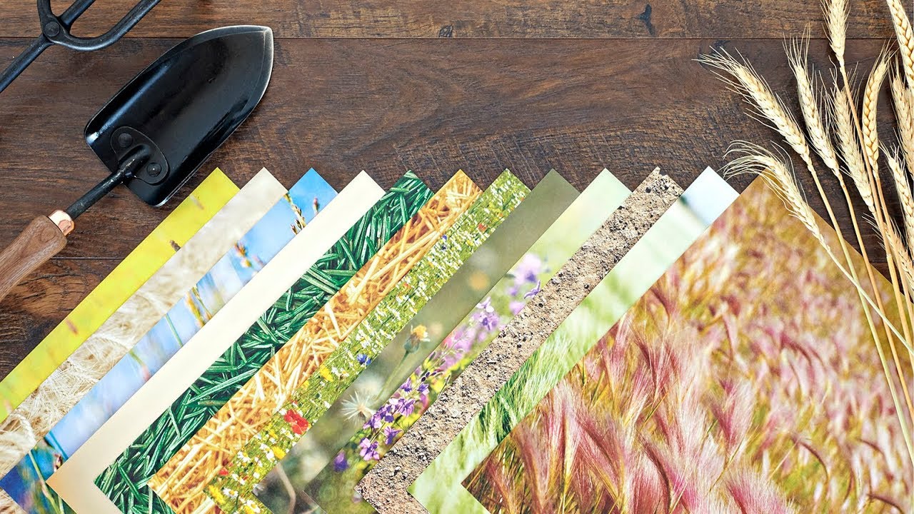 Mellow Meadows Paper Pack by Creative Memories - YouTube