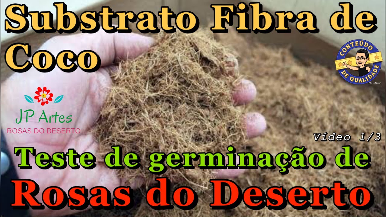Substrato de Fibra de Coco para Germinação de Sementes de RDs. Vídeo 1/ ...